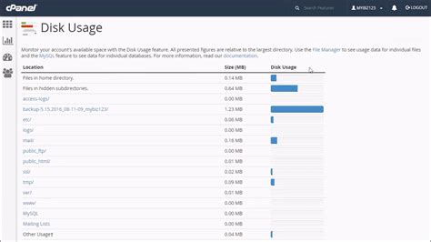 How To Use The Disk Space Usage Tool In CPanel YouTube
