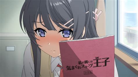 Rascal Does Not Dream Of Bunny Girl Senpai Ep 4 Xenodudes Scribbles