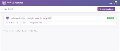 connecting to a heroku postgres database