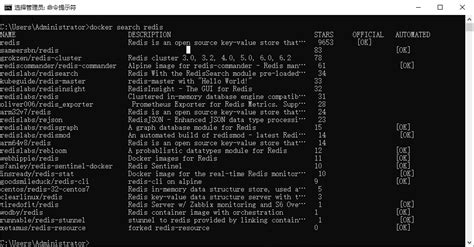 win10 docker 安装 redis win10 查看redis是否安装 csdn博客