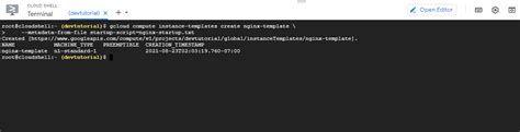 how to create a cluster of nginx web server with an instance group devtutorial
