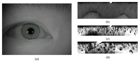 sensors free full text an efficient and accurate iris recognition algorithm based on a novel