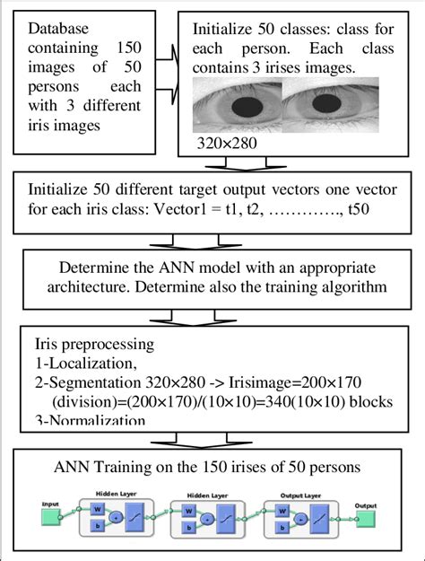 ann training for the iris recognition system download scientific diagram