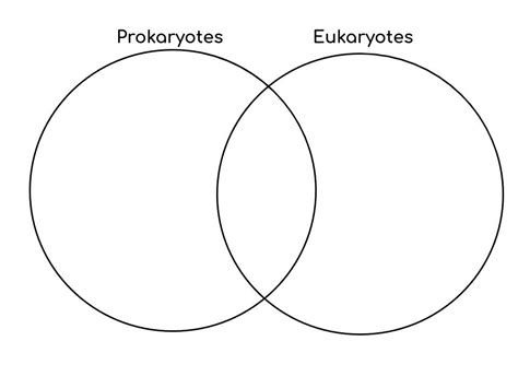 Prokaryotes Vs Eukaryotes Diagram Quizlet
