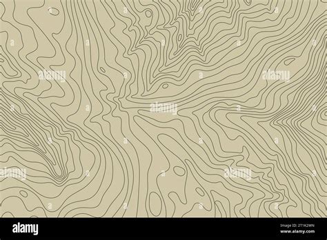 Topographic Map Background Concept With Space For Your Copy Vector