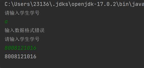 java中的异常处理及对数据的正确性检查 java 数据质量检查 csdn博客