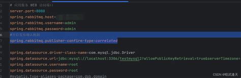 rabbitmq整合springboot超全实战案例 图文演示 源码自取 rabbitmq 实战项目 csdn博客