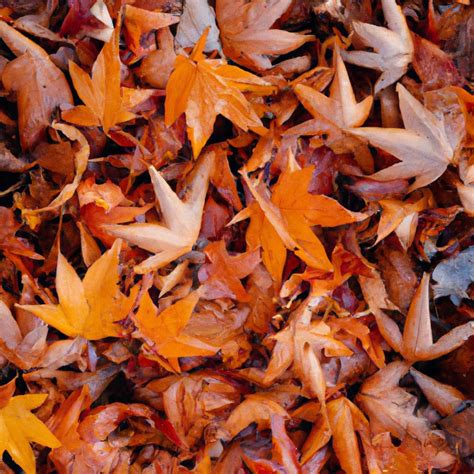 10 Astuces Pratiques Pour Ramasser Efficacement Les Feuilles Mortes Et Garder Un Jardin