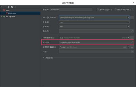 解决ruoyi vue在idea中启动vue出现[error 0308010c]错误的问题 idea启动若依失败 csdn博客