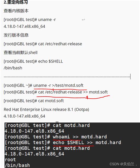 linux简单命令练习 csdn博客