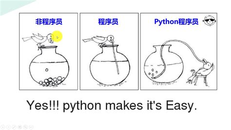 面向对象的编程思维与实践案例 python编程的术与道：python语言入门 csdn在线视频培训