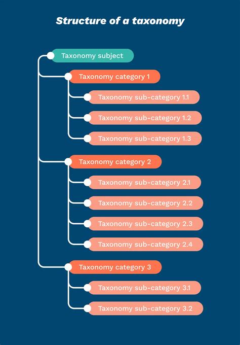 metadata taxonomy definition and examples