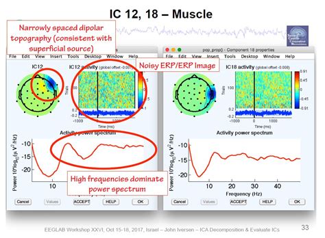 eeg and erp processing and analysis