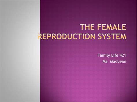 Ppt The Female Reproduction System Powerpoint Presentation Free Download Id2104681