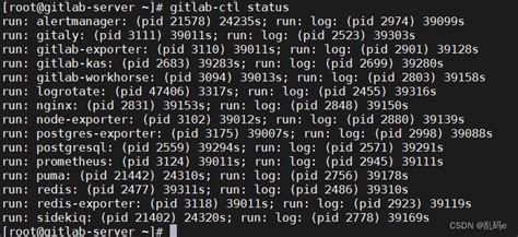 gitlab安装与使用（centos7 9） csdn博客