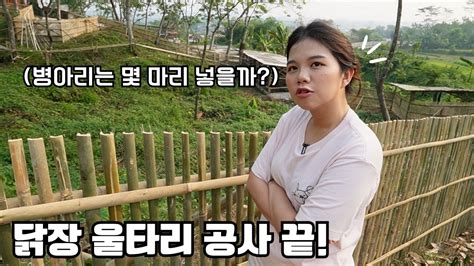 예비 시아버지 사업장에 닭장 공사가 드디어 마무리 됐습니다 이제 진짜 닭장이 되었네요 YouTube