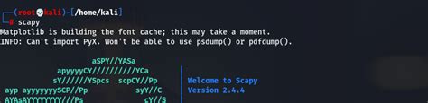 python渗透测试之scapy模块and情报收集 scappy 渗透测试 csdn博客