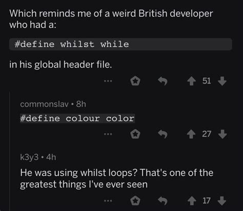 whilst r programmerhumor