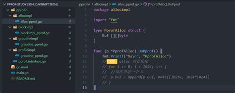 [golang]手把手带你实战pprof 性能分析优化 手把手 pprof csdn博客