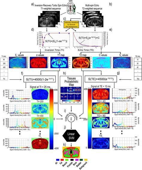pipeline of the segmentation and classification process using the svm download scientific