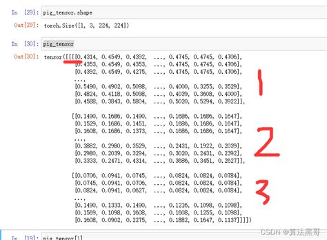 pytorch中none的用法，以及如何理解多维数组 pytorch none csdn博客