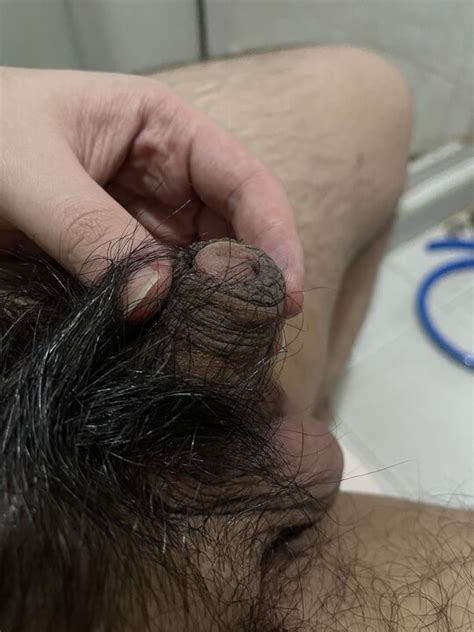 Aziatische Dikke Jongen Met Zijn Kleine Pik Xhamster