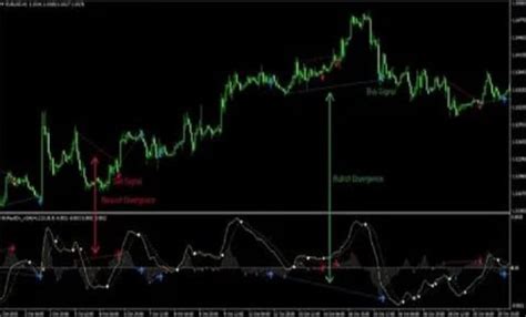 convert tradingview pinescript to metatrader mt4 mt5 platform by jackson pv fiverr