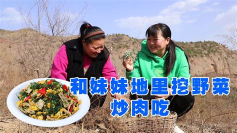 天暖了霞姐和妹妹上山挖野菜炒肉吃天然的味道就是香 腾讯视频