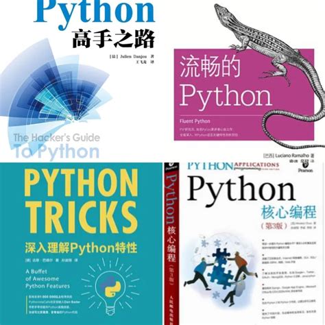 python入门教程 非常详细 ，从零基础入门到精通，看完这一篇就够了 csdn博客