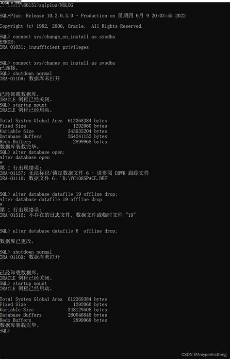 Ora 01033 Oracle Initialization Or Shutdown In Progress 忆云竹