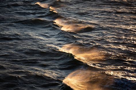 Sunkissed Waves Wallpaper Happywall