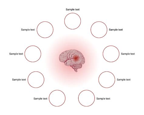 Stroke Circle Diagram Layout BioRender Science Templates