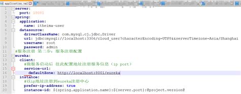 Failed To Bind Properties Under Eureka Client Service To Java