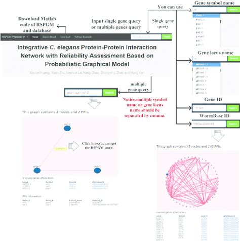 the website is designed for querying and visualizing rspgm scores of download scientific