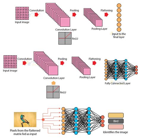 Convolutional Neural Network Python Geeks