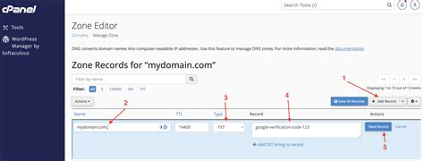 How To Add A DNS Record In CPanel With The Zone Editor Help Docs