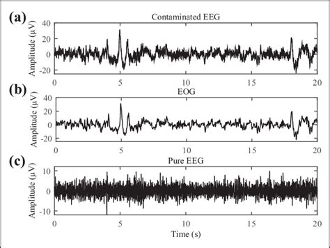 the separation of clean eeg from the contaminated data using dwt download scientific diagram