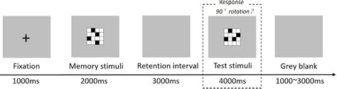 the relationship between different exercise modes and visuospatial working memory in older