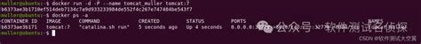 深入理解 docker run 命令：从入门到精通 docker镜像服务器作用 实验室设备网