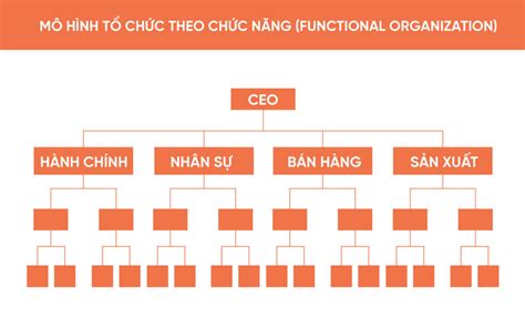 Top với hơn 88 về mô hình quản lý theo chiều dọc mới nhất coedo vn