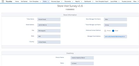 how to create a fillable form in salesforce