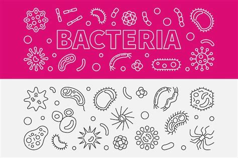 Conjunto de 2 banners de contorno de bacterias ilustración vectorial