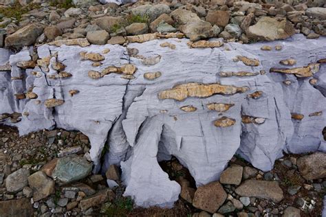 Chert Nodule Geology Is The Way
