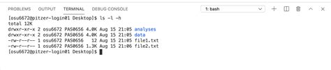 Unix Shell