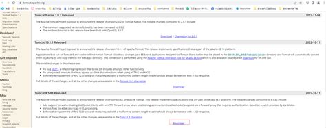 tomcat、jenkins和jdk匹配版本 人可何1 博客园