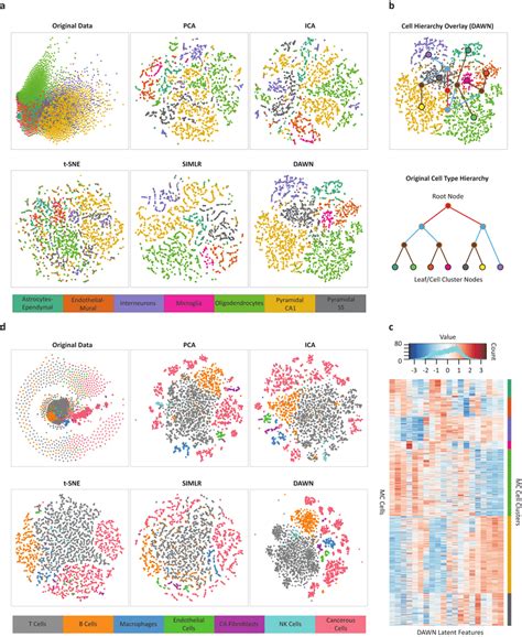 analysis of clustering performances using visualization approaches а download scientific