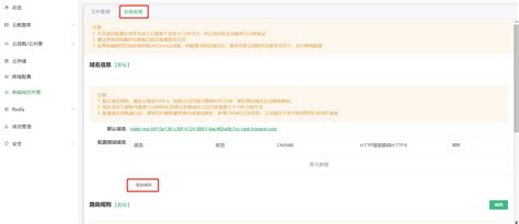 uniapp前端网页托管配置网站域名详细操作 javascript nnetbit 华为云开发者空间