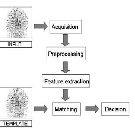 pdf reducing process time for fingerprint identification system