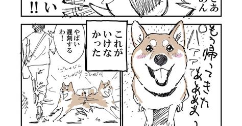柴犬4コマ漫画世界の終わりに柴犬との作者石原雄先生が柴犬ハルさんに全力で轢かれていたボウリングのピンのごとく見事に跳ねられました