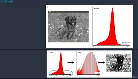 opencv 八 —— 直方图 mask操作 and 自适应 直方图均衡化 and 模板匹配 and 图像特征 harri角点检测 自适应mask策略 csdn博客